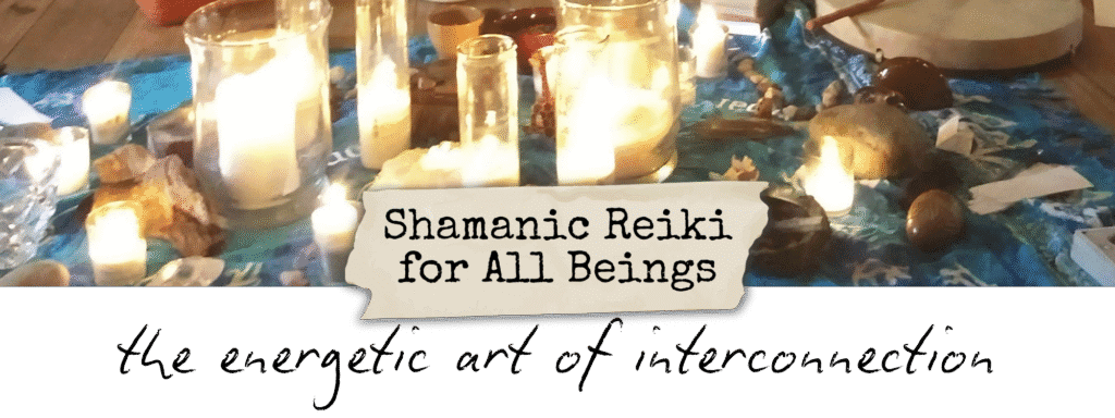 Shamanic Reiki for All Beings – Debbie Philp